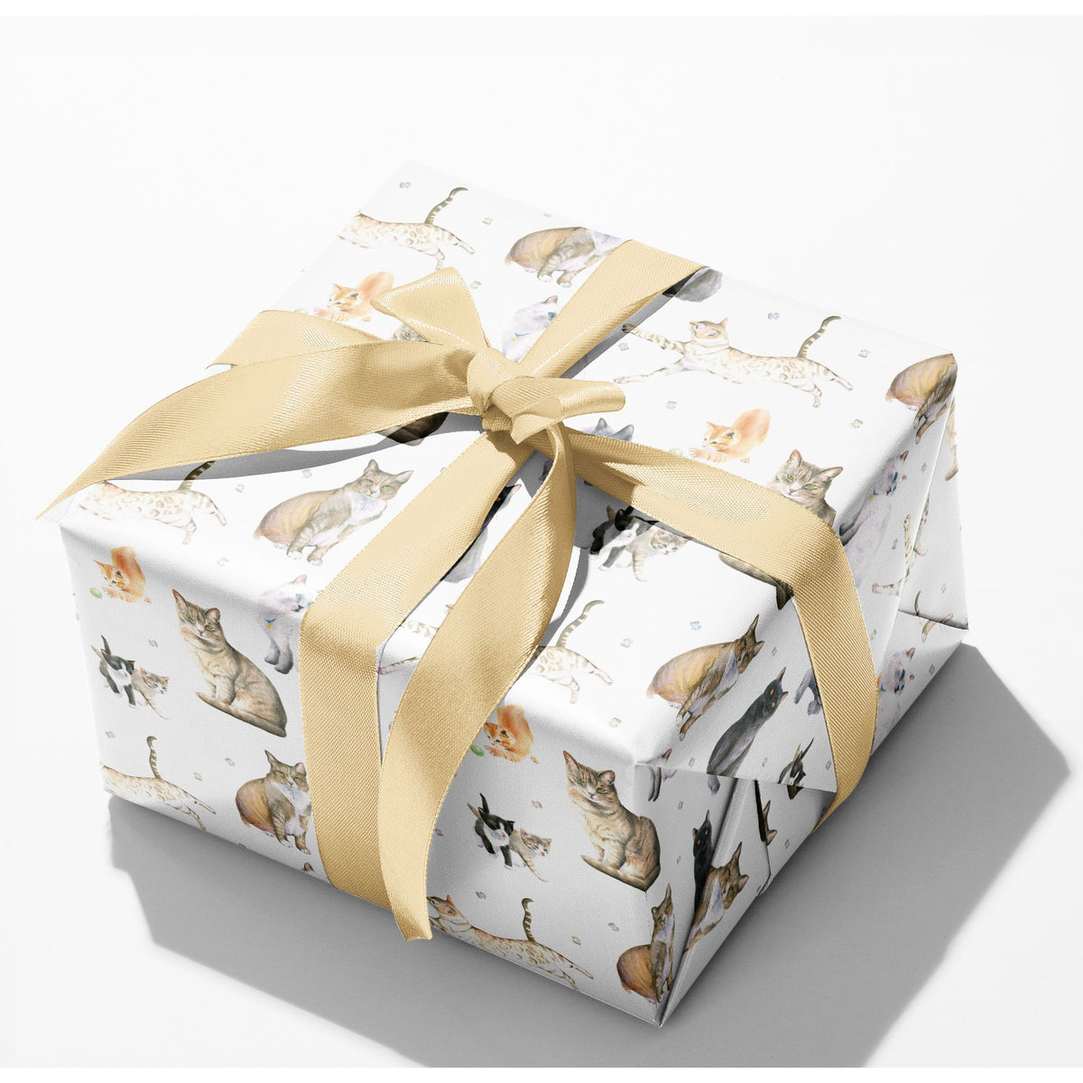 Cats & Kittens Wrapping Paper and Tags | The Arty Penguin